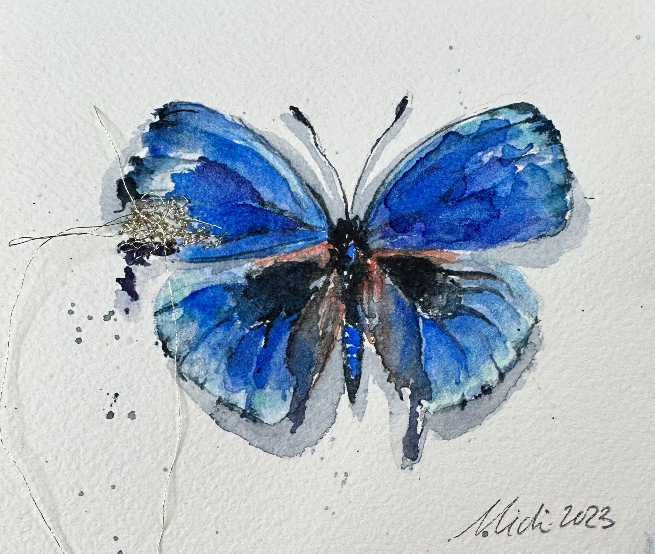 Asterope optima - Blue Broken Butterfly – Michi's World of Chaos Art