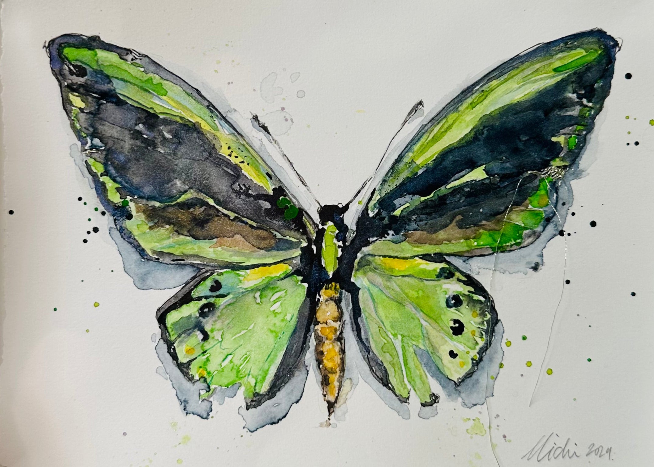 Northern Birdwing Butterfly – Michi's World of Chaos Art