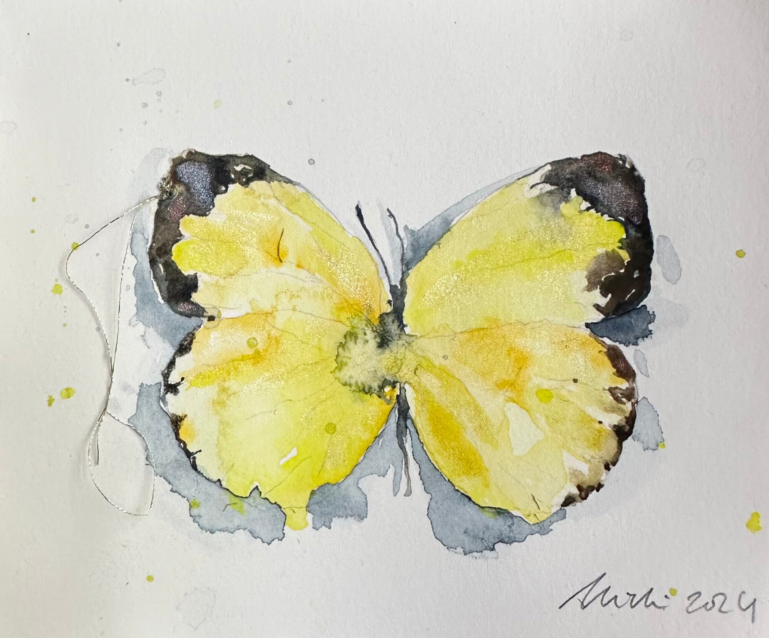 Eurema Smilax, the Small Grass Yellow Broken Butterfly – Michi's World ...